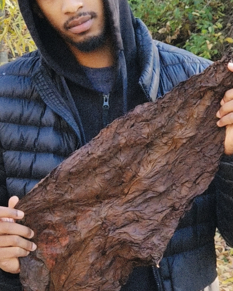 Canada-Wide Grabba Delivery: Quality Grabba at Your Fingertips – Grabba ...